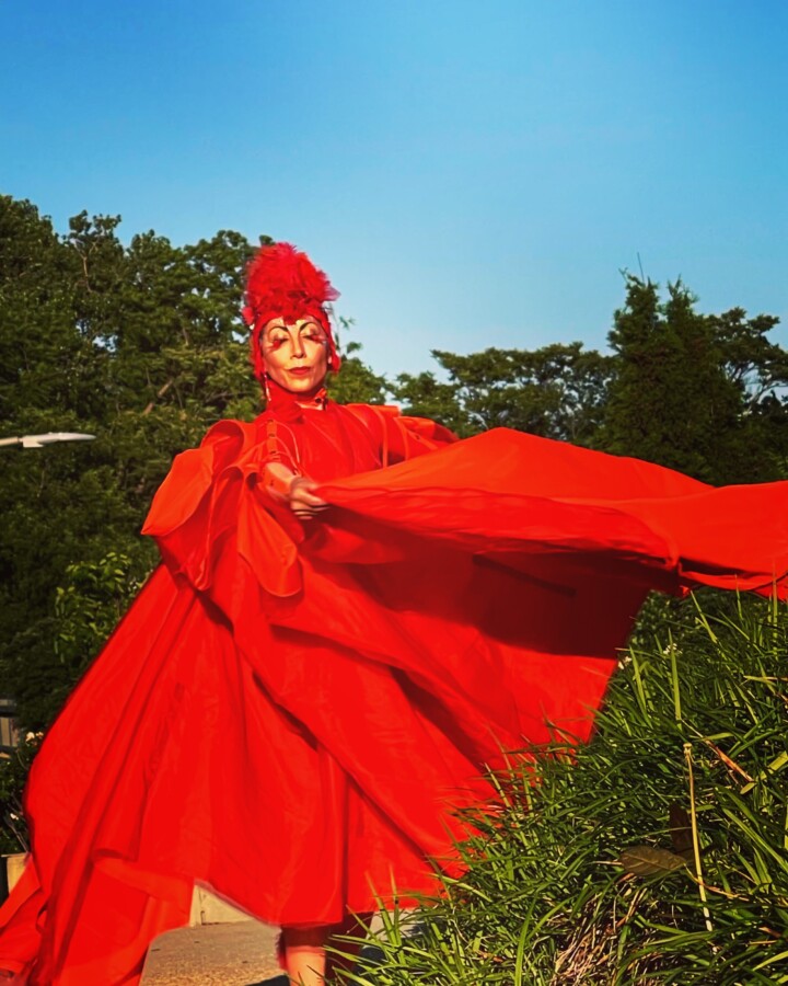 Firebird pop up performances - The Visualist