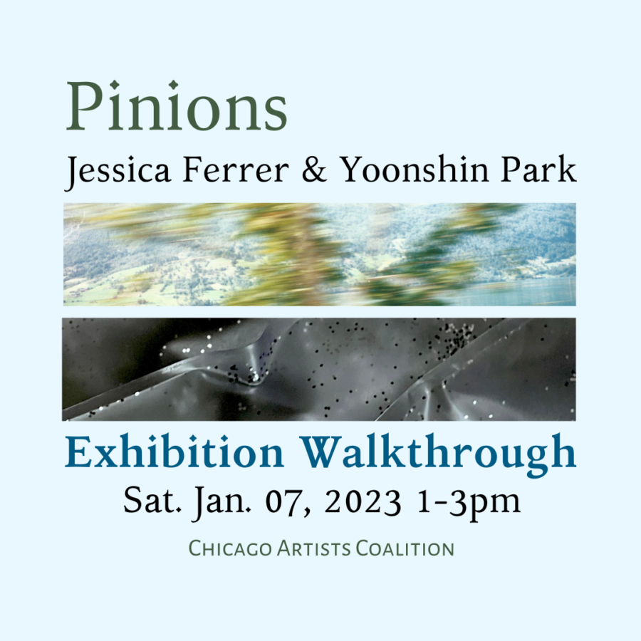 Pinions: Exhibition Walkthrough - The Visualist