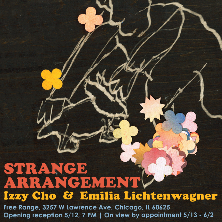 Strange Arrangement - The Visualist