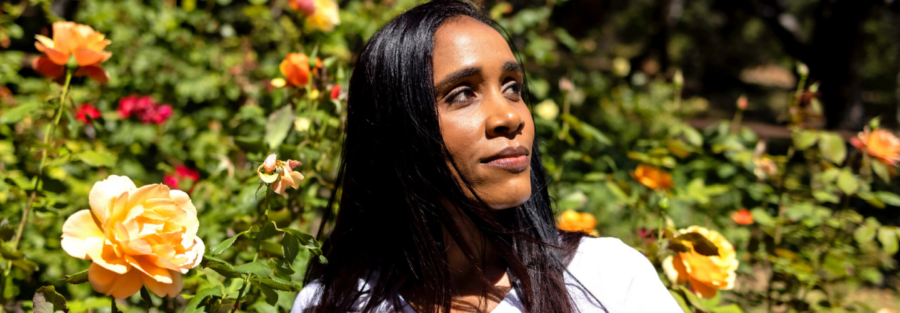 David Kroll: Recent Paintings