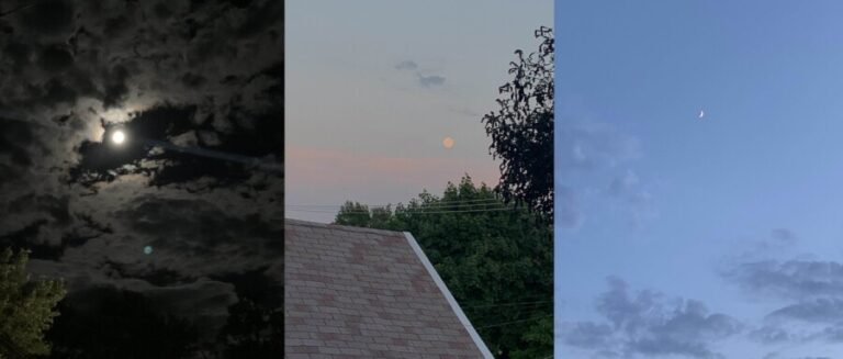 Simon Ingram and Doug Melini: Au Plein Air