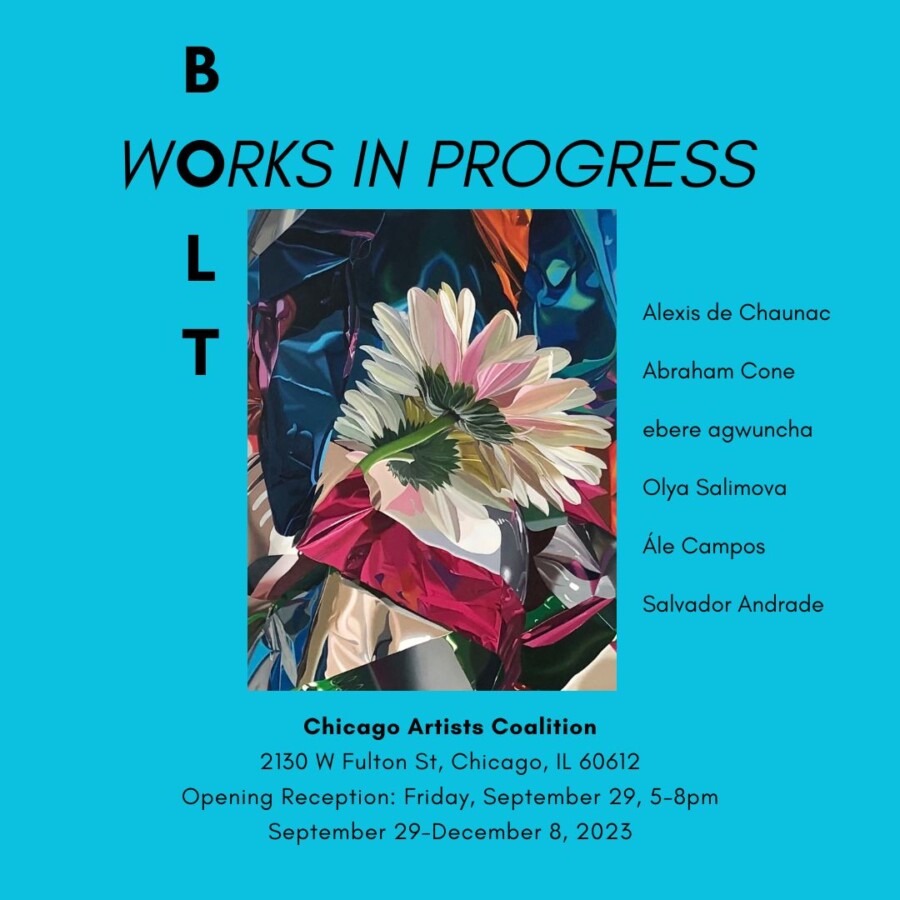 Works in Progress - The Visualist