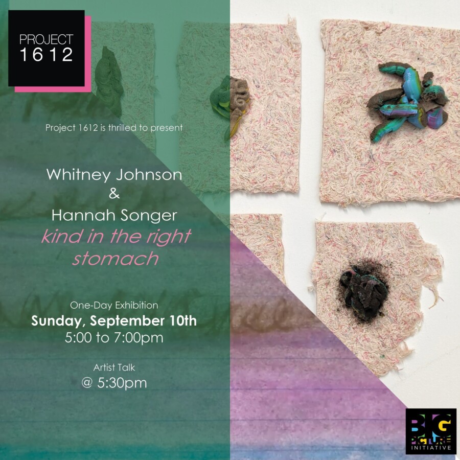 Whitney Johnson and Hannah Songer: kind in the right stomach - The ...