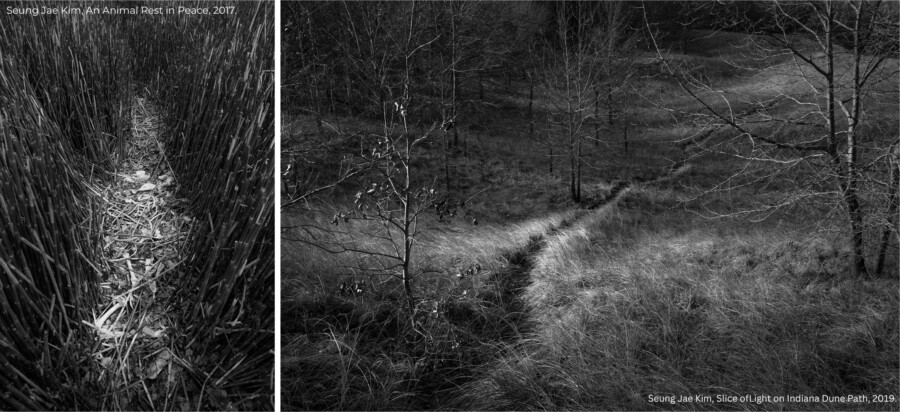 Seung Jae Kim: Misread Affinity - The Visualist